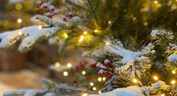 La Conner's Annual Community Tree Lighting