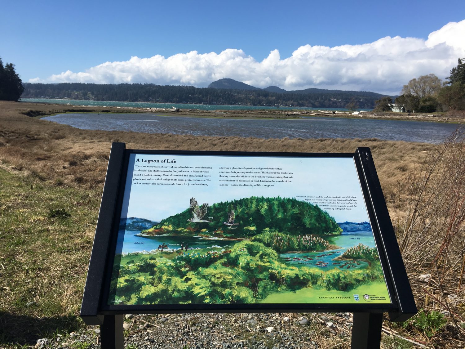 Kickin' It on Kiket Island - The Kukutali Preserve - Love La Conner ...